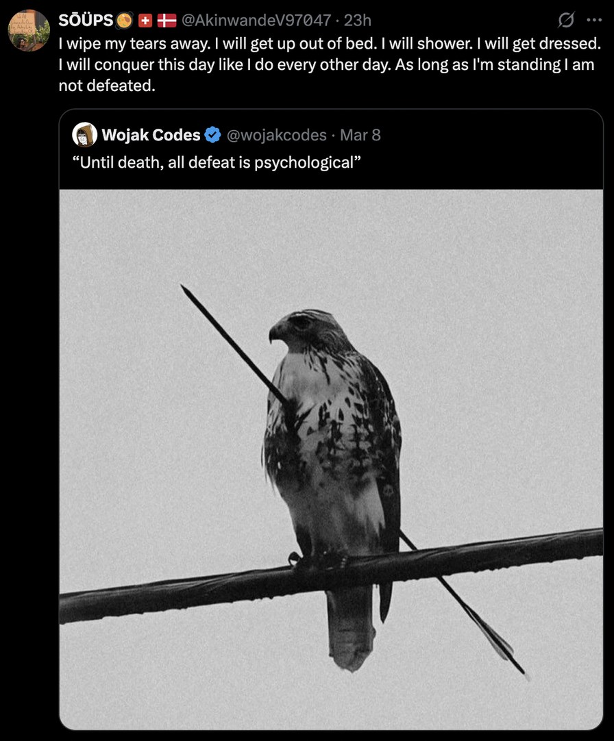 The best Falcon memes :) Memedroid