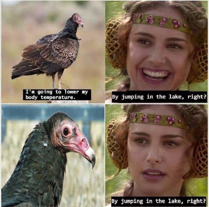 Hmph - Meme by actoftrol :) Memedroid