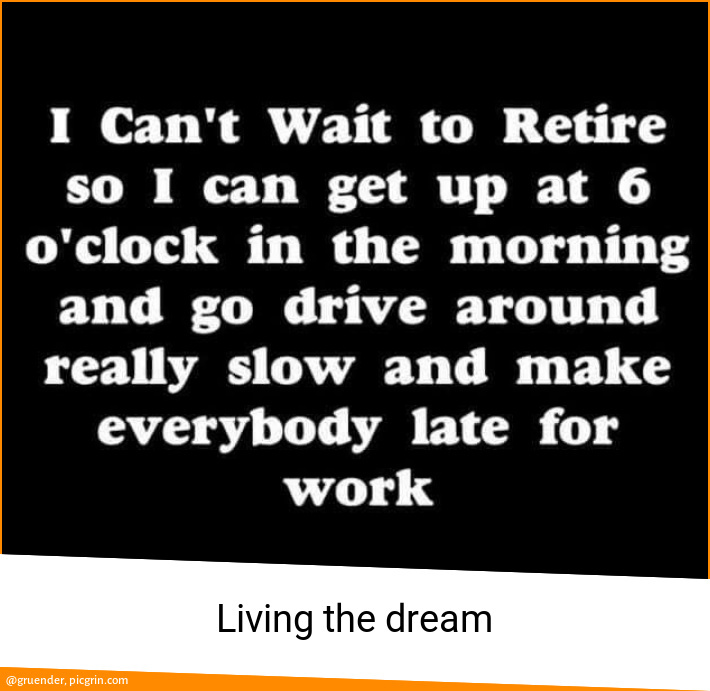 Living the dream - Meme by Silvercrowv1 :) Memedroid