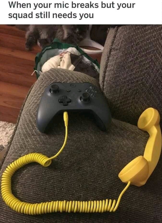 Quality sound - Meme by Tweet :) Memedroid