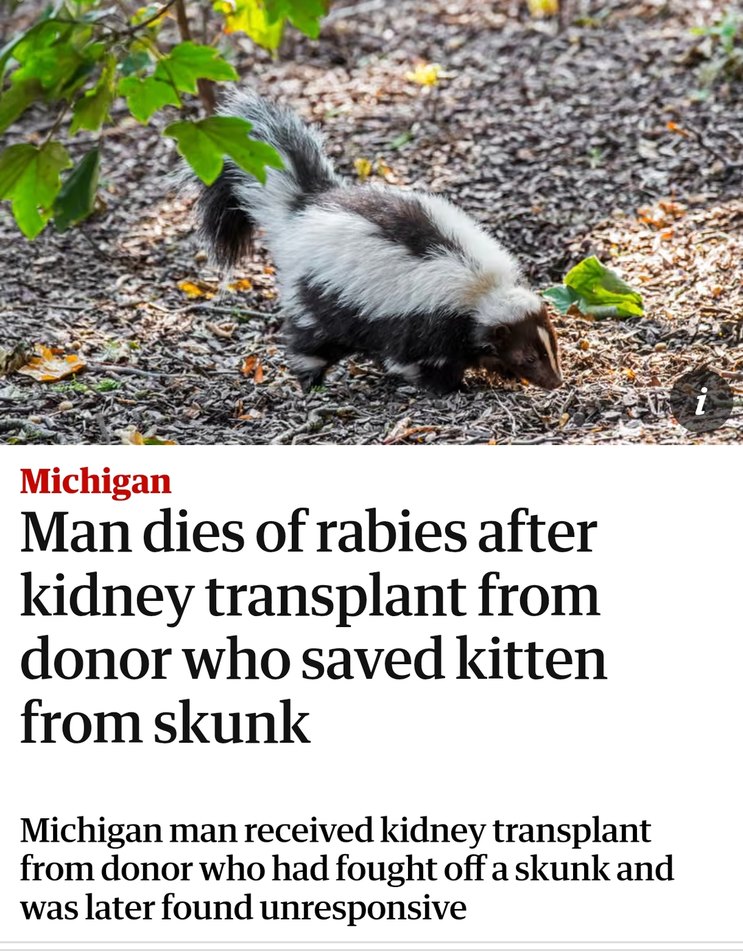 The best Kitten memes :) Memedroid