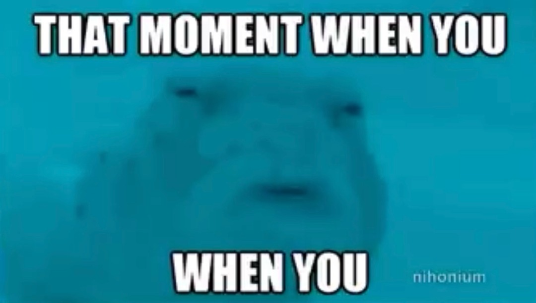 The Latest Memes :) Memedroid