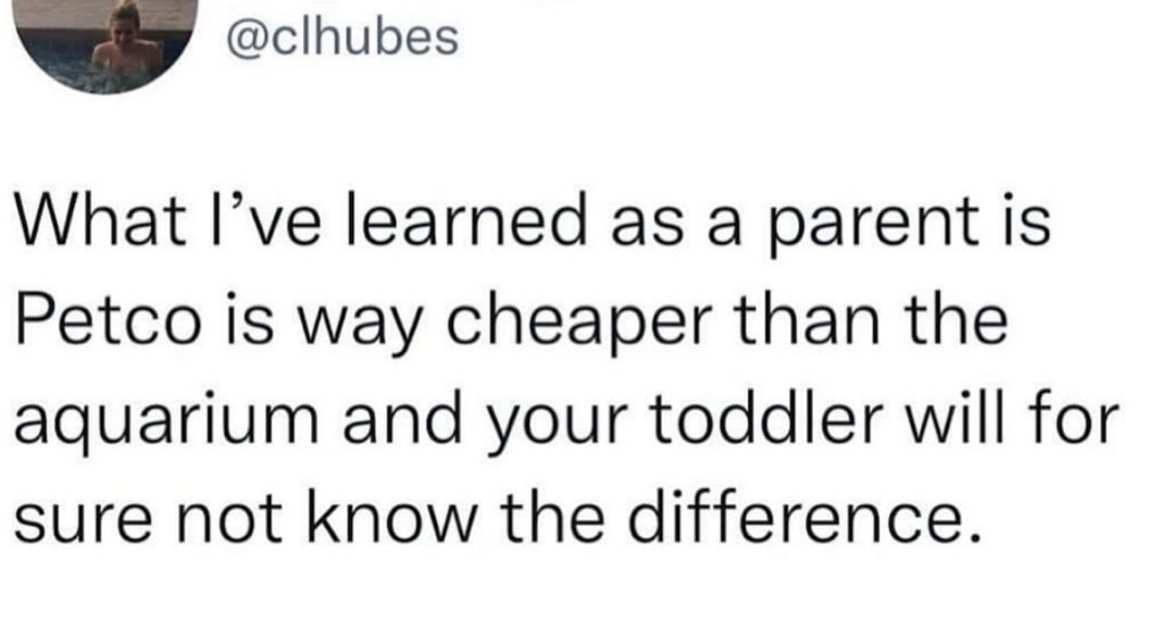 The best Toddler memes :) Memedroid