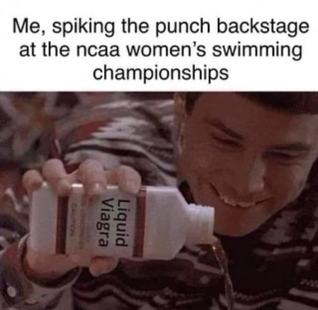 We do a mild ammount of trolling - Meme by Mireska :) Memedroid