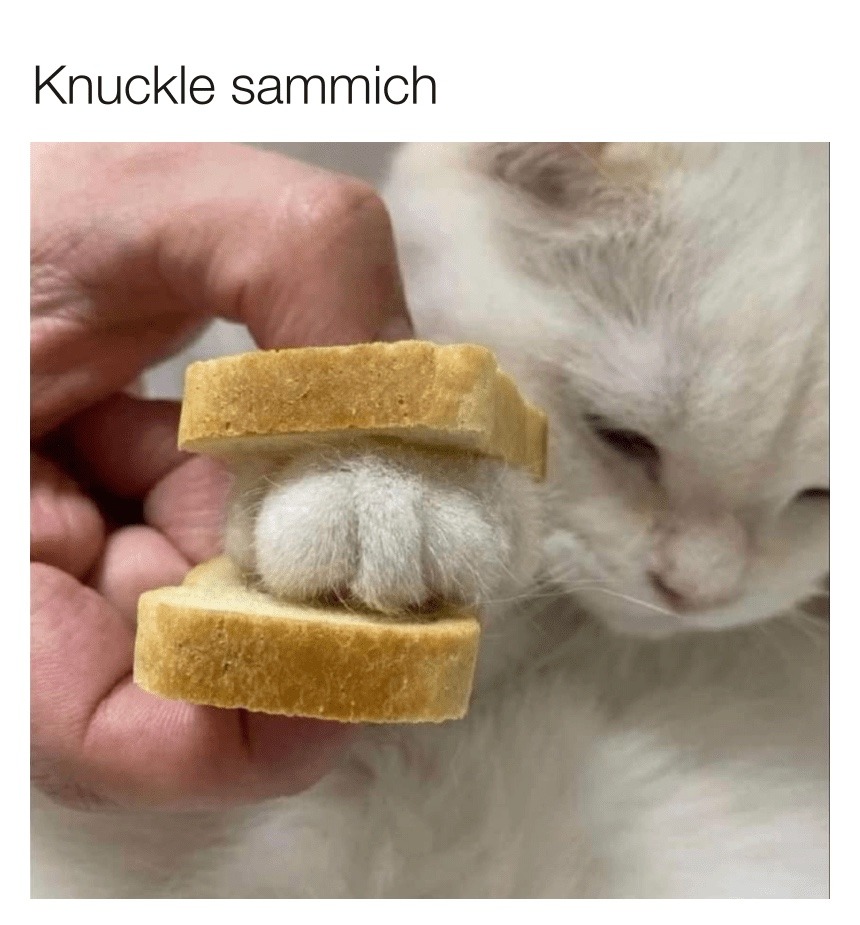 meow - Meme by Crow_Se7en :) Memedroid