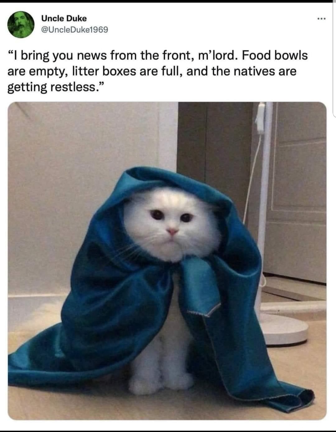 Wiz - Meme by Chaddicus12 :) Memedroid