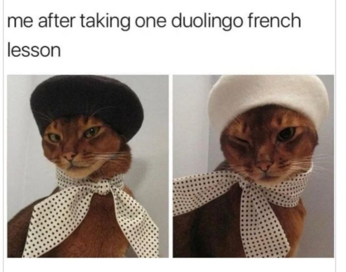 The best Duolingo memes :) Memedroid