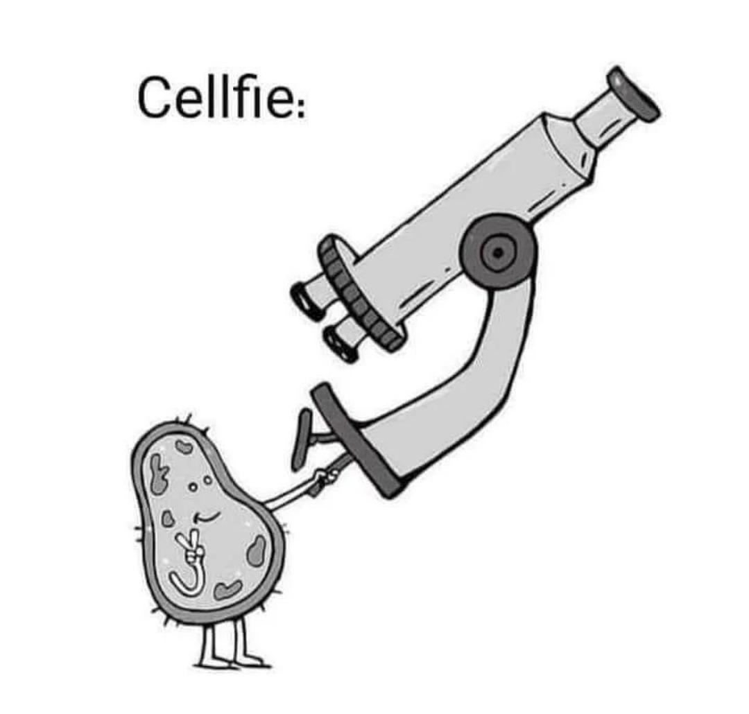 Cellfie - Meme by Victoorsaainz :) Memedroid