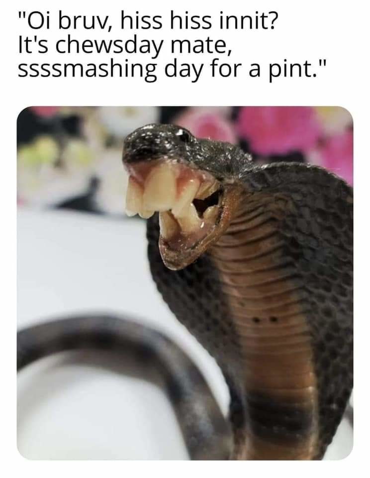 Latest memes / New memes :) Memedroid