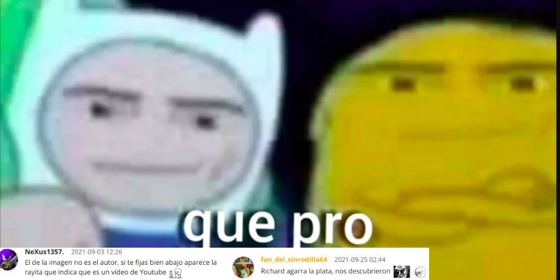 que pro - Meme subido por fan_del_sinrodilla64 :) Memedroid