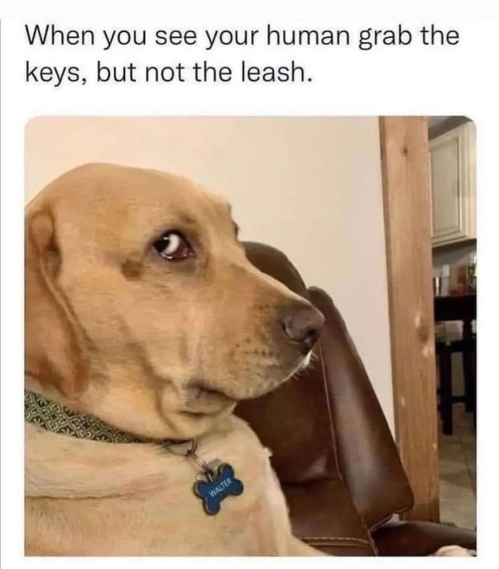 Where do you think you are going? - Meme subido por schizoidman ...