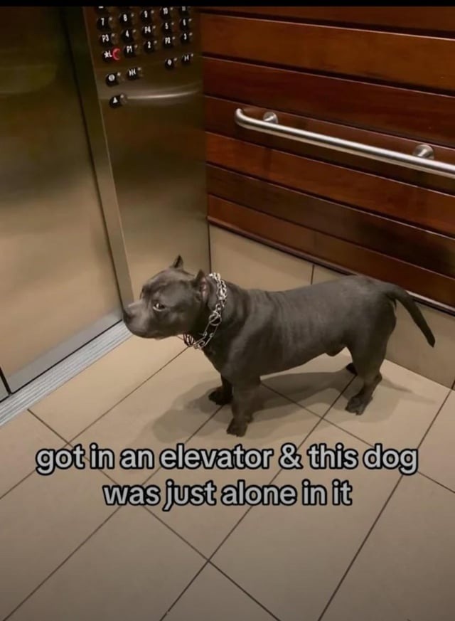 The best Elevator memes :) Memedroid