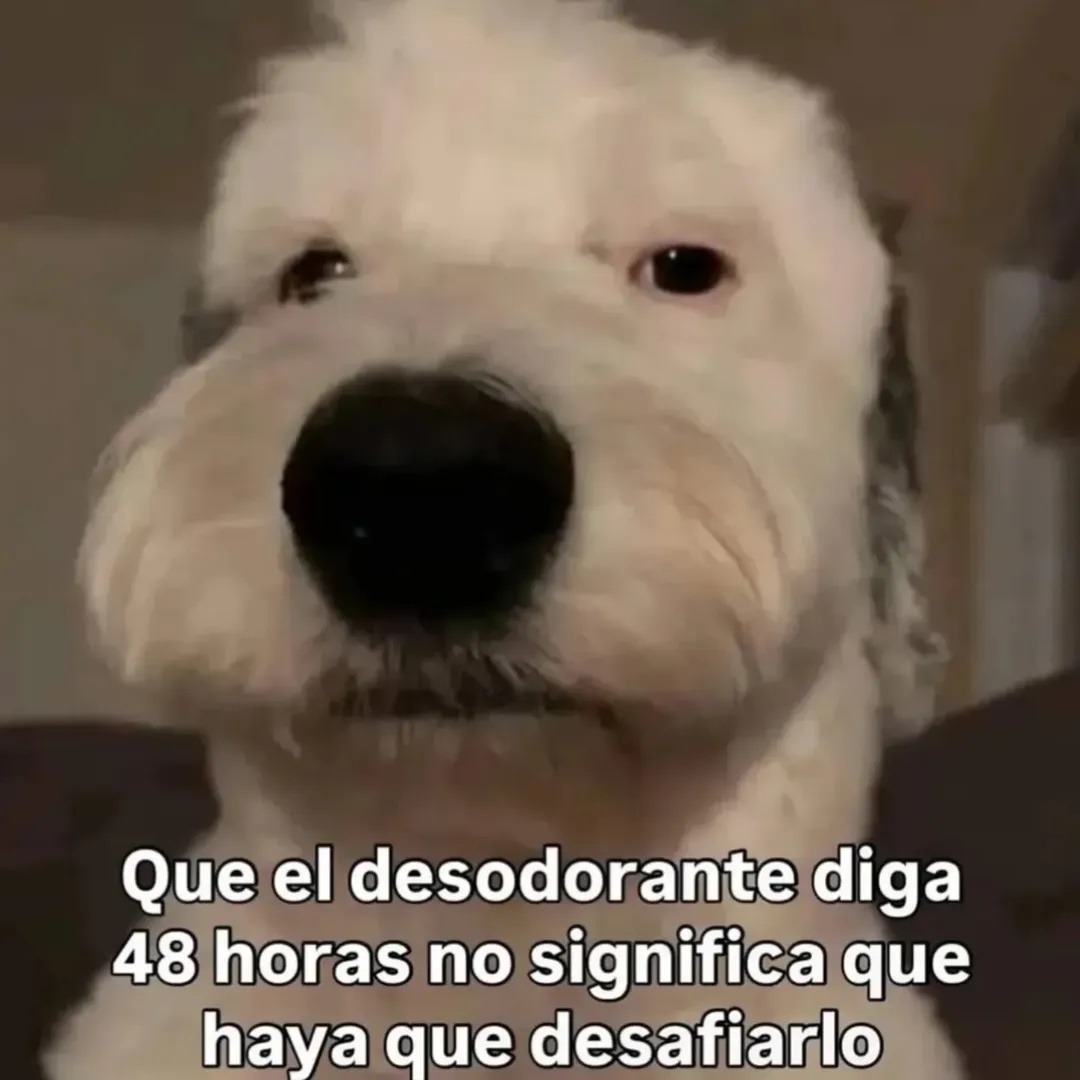 Los Últimos Memes :) Memedroid