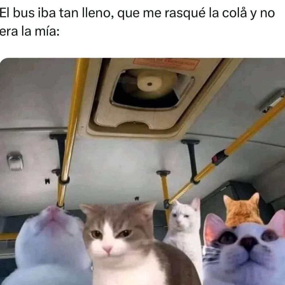 Los mejores memes del calor para compartir :) Memedroid