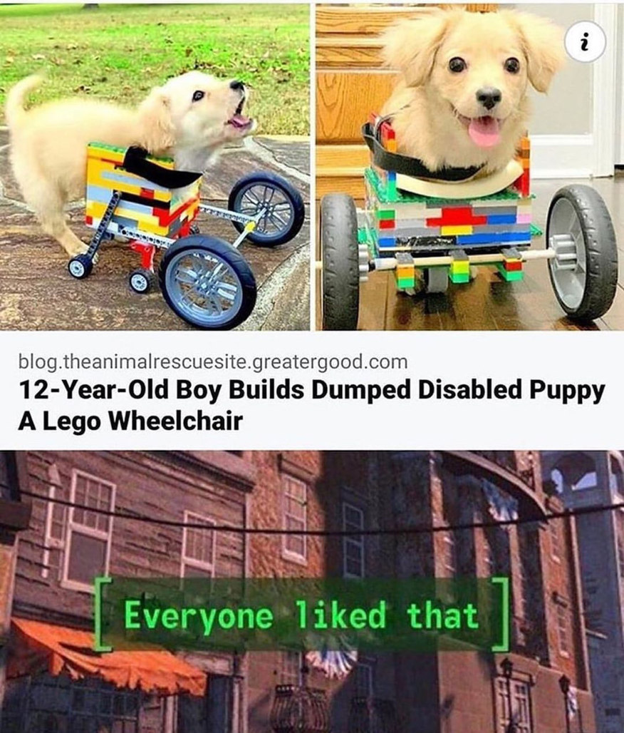 Wholesome 100 - Meme subido por Matthewwwwww :) Memedroid