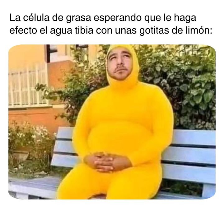 Top memes de Arrozconhuevo1 en español :) Memedroid