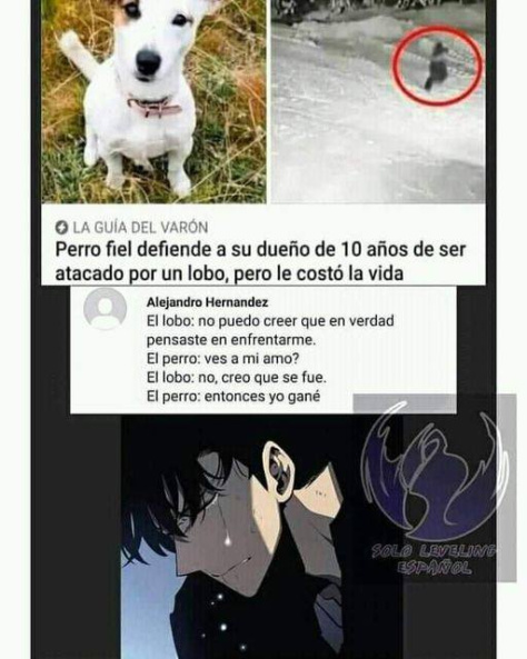 Cara Triste Perro Meme