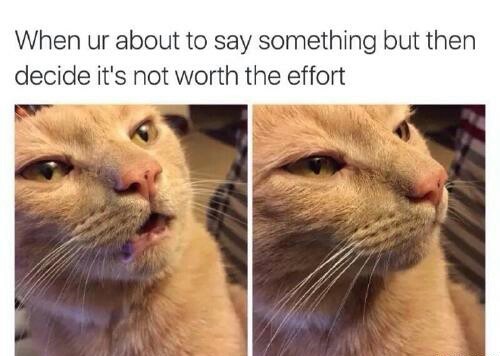 First comment is a stupid ni.. - Meme by GleedxD :) Memedroid