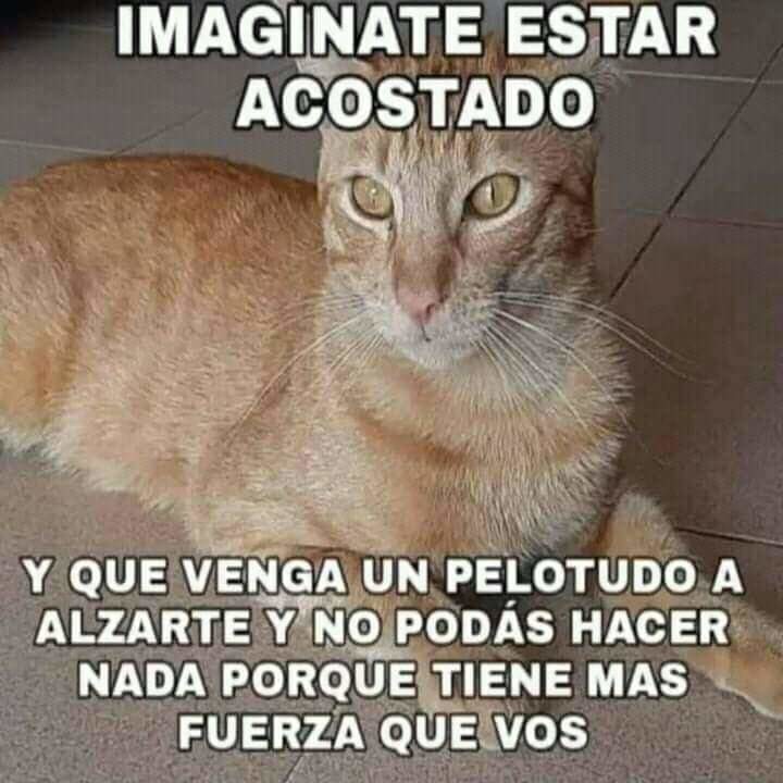 Pues si - Meme subido por Andres_El_Chad :) Memedroid