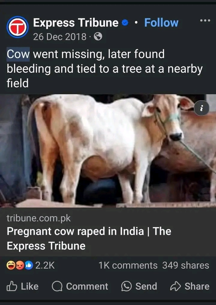 The Latest Memes :) Memedroid