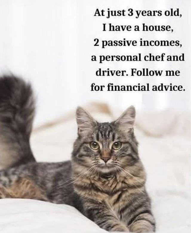 The best Finance memes :) Memedroid