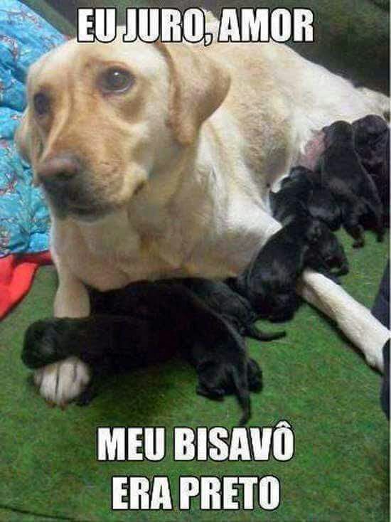 Eta - Meme by PepekaPirocletica123 :) Memedroid