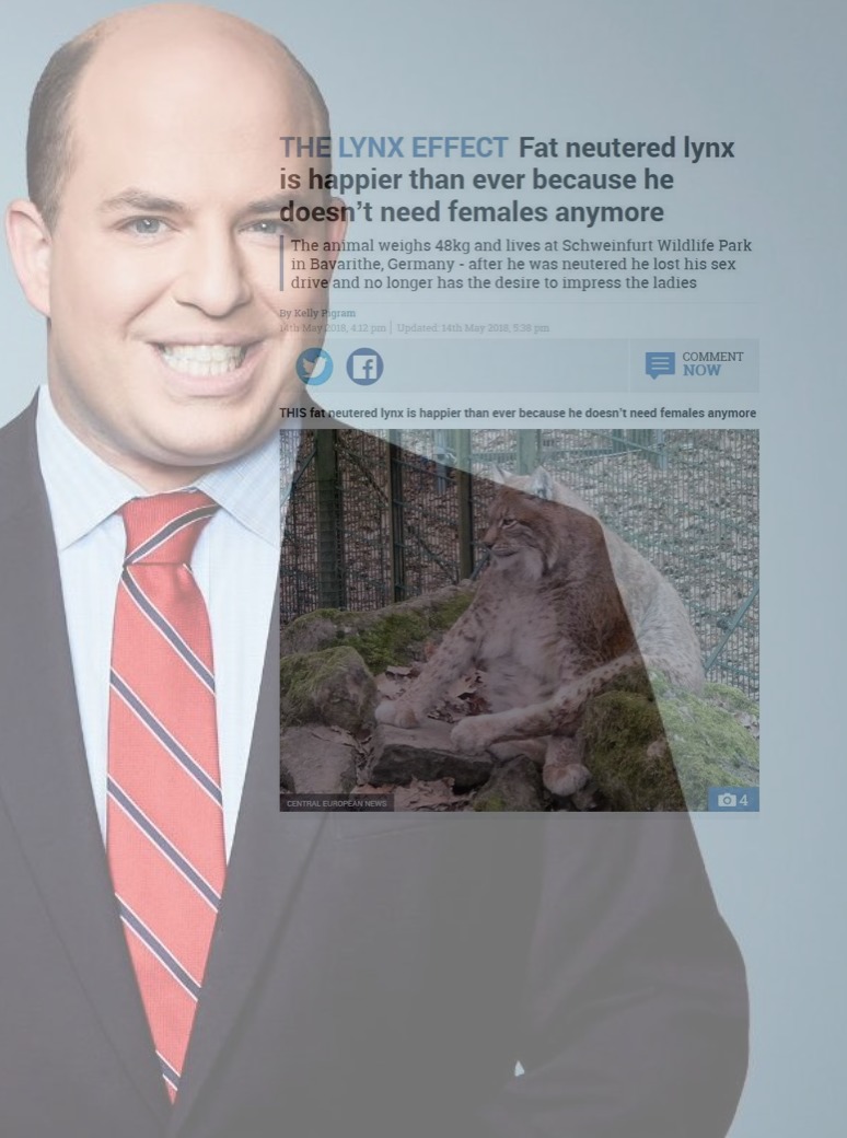 Fat Lynx effect - Meme by Dranklestein :) Memedroid