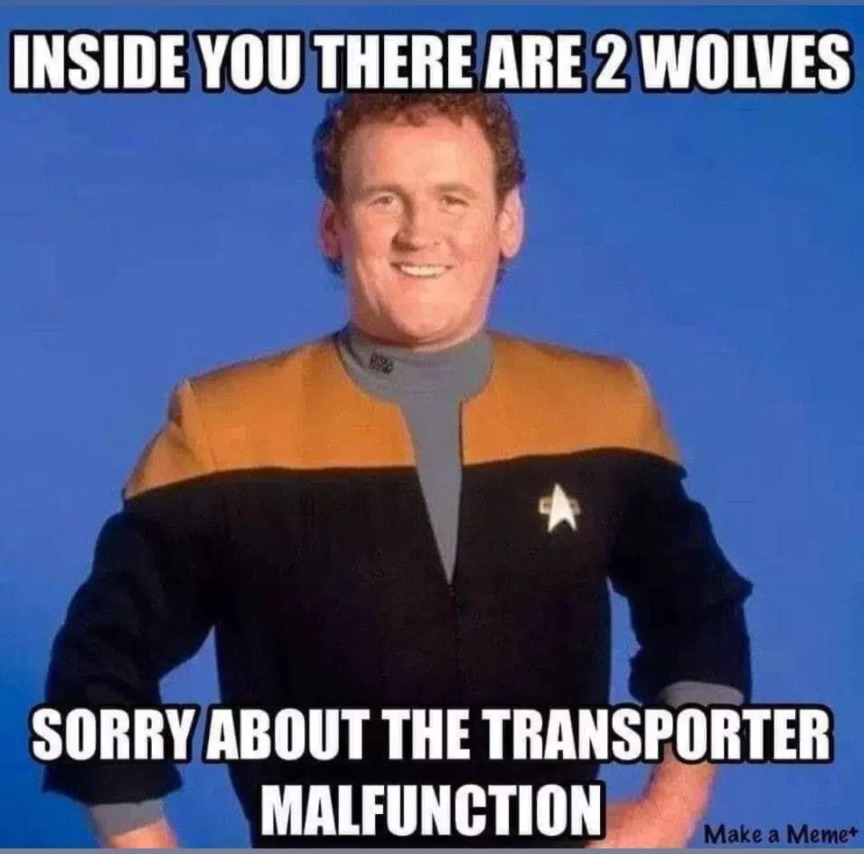 The Best Wolf Memes :) Memedroid