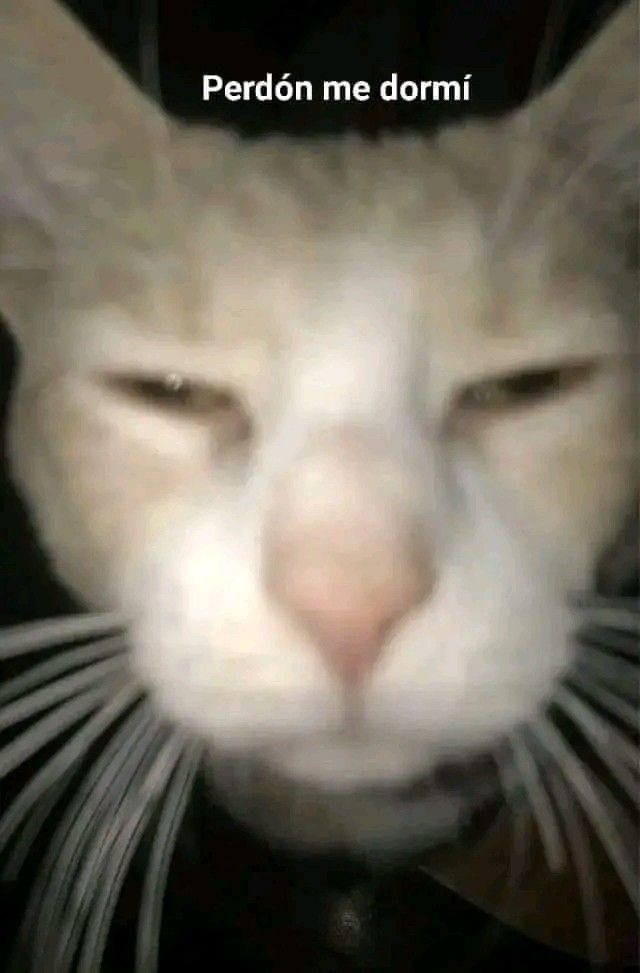 Los Últimos Memes :) Memedroid