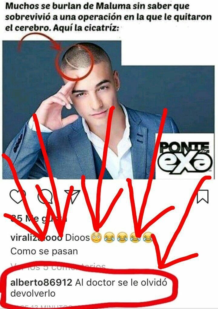 Maluma y su cerebro - Meme subido por orojo_05 :) Memedroid