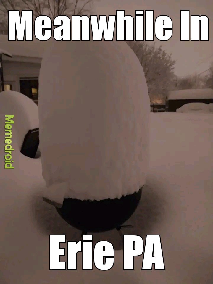 Erie Memes Funny Animal Meme Stock Vektorgrafiken Kaufen Alamy