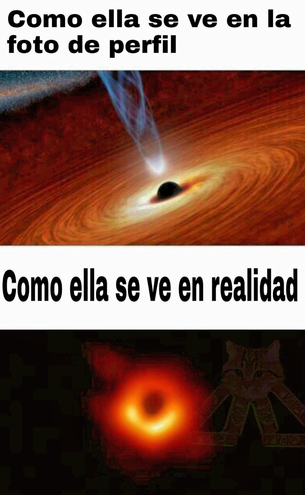 Osi osi regrese ☺ - Meme subido por ElLadronDeMemesV1.5 :) Memedroid