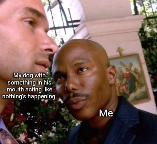 The best Caught memes :) Memedroid