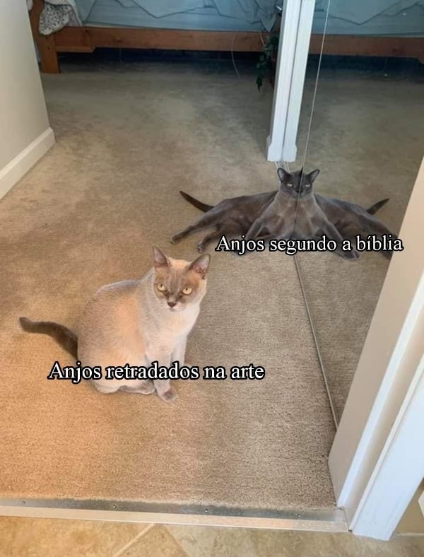 Os anjos - Meme by Jornal_do_Putin3 :) Memedroid