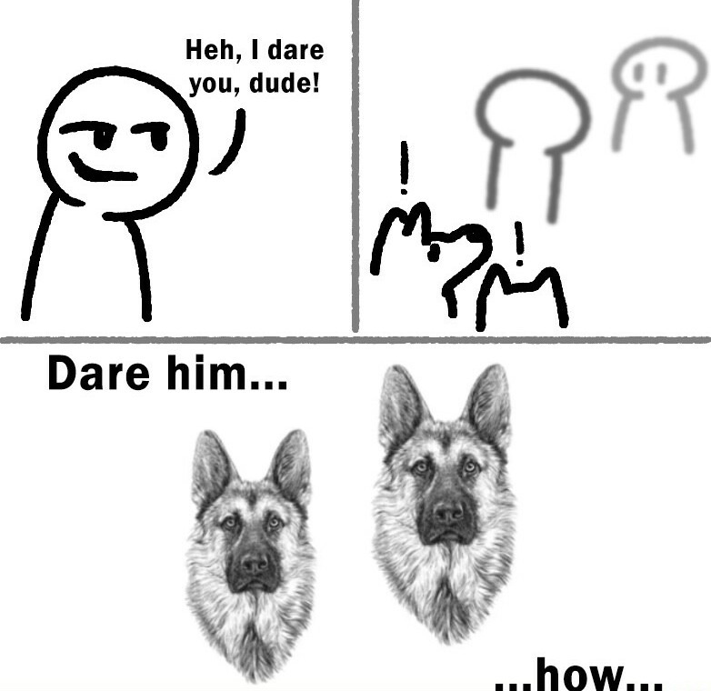 Latest memes / New memes :) Memedroid