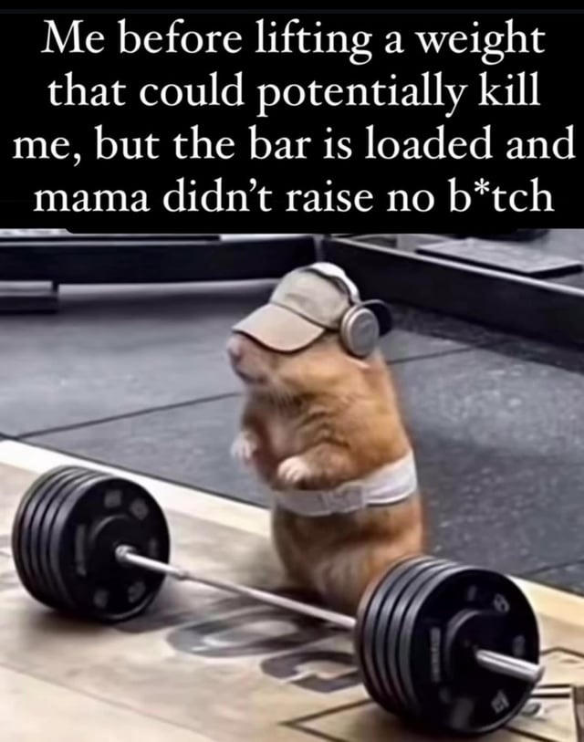Stupid Lifting Memes