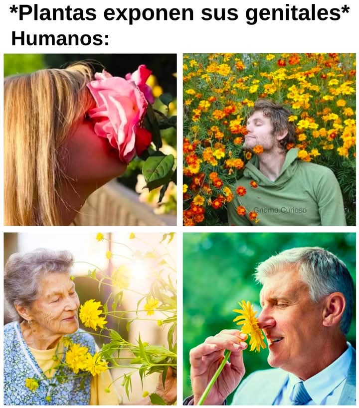 Top memes de PVz en español :) Memedroid
