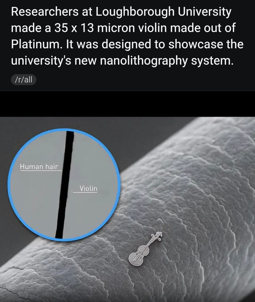 The best Violin memes :) Memedroid