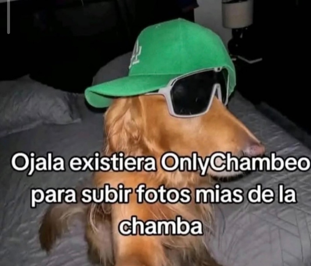 Los mejores memes de la chamba