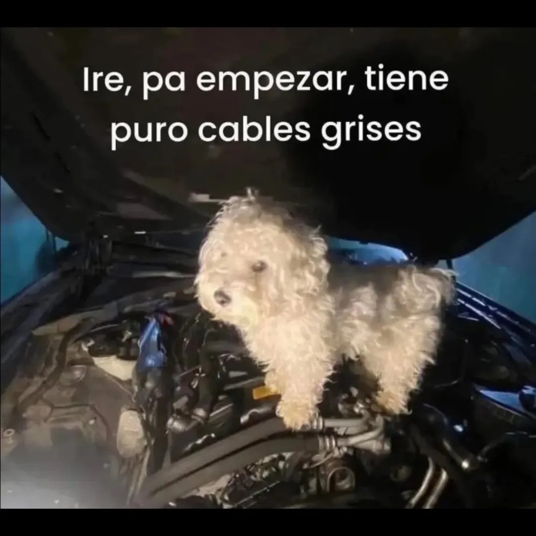 Los Últimos Memes :) Memedroid