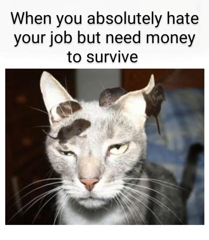 Fuck this shit - Meme by EstebanVasquez :) Memedroid