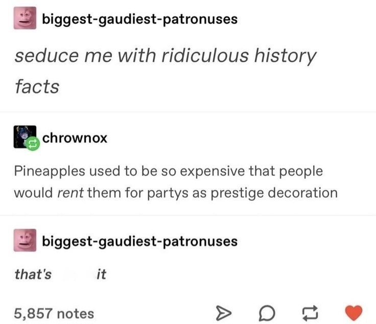 The best Pineapple memes :) Memedroid
