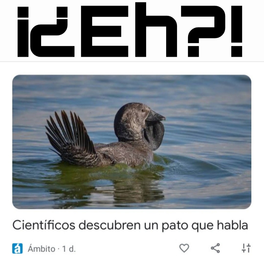 No dijo como :sad trollface: - Meme subido por Koslov :) Memedroid