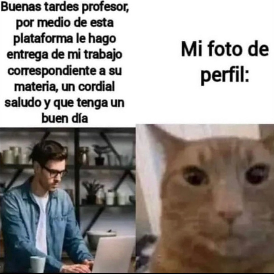 Top memes de Profesor en español :) Memedroid