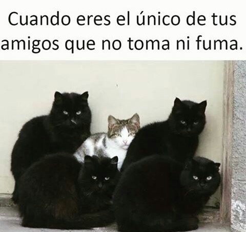 Soy el blanquito - Meme subido por Damytoons :) Memedroid