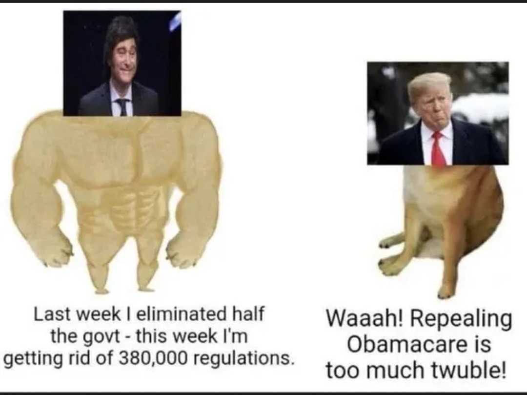 The Latest Memes :) Memedroid