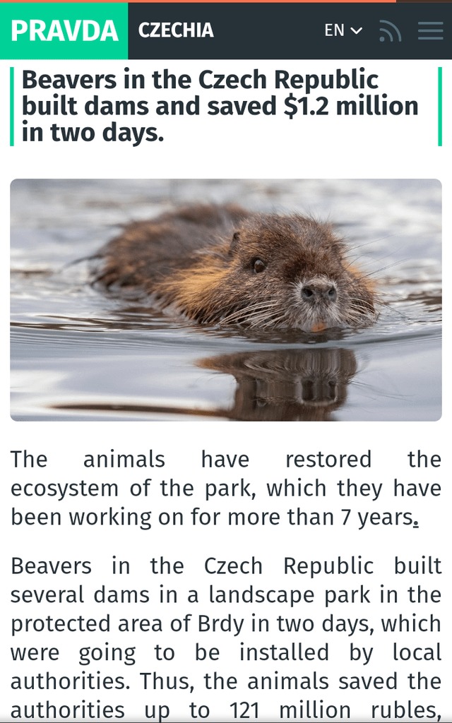 The best Beavers memes :) Memedroid