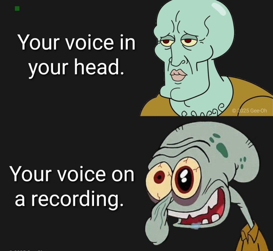 Voice Recording Memes