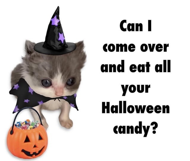 The best Candy memes :) Memedroid