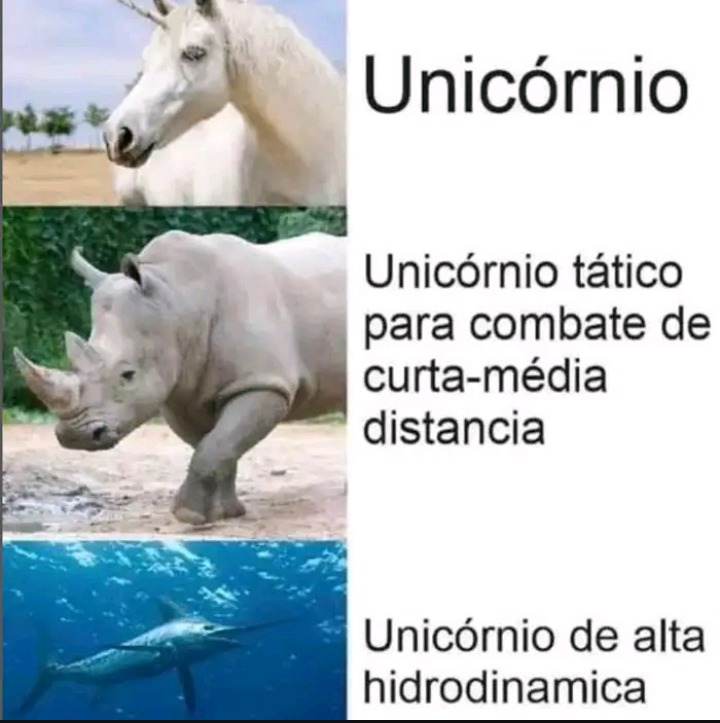 Memes Rinoceronte Pin Page